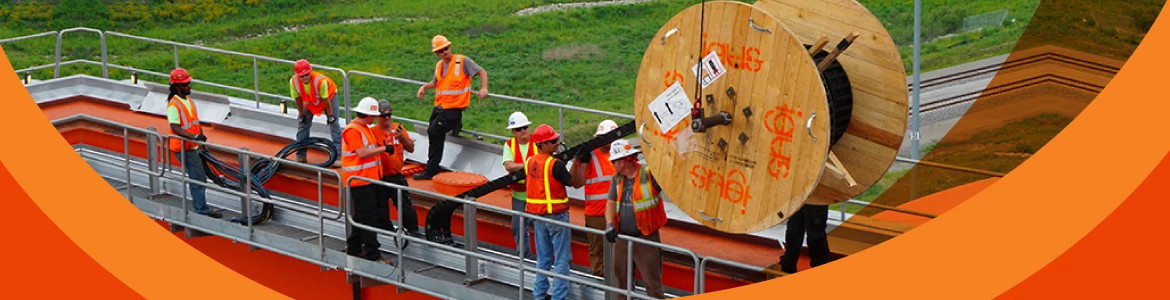 Field Services Project Analysis Form | igus