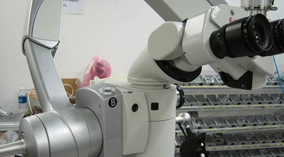 Technique de roulement linéaire compacte dans un statif pour ...