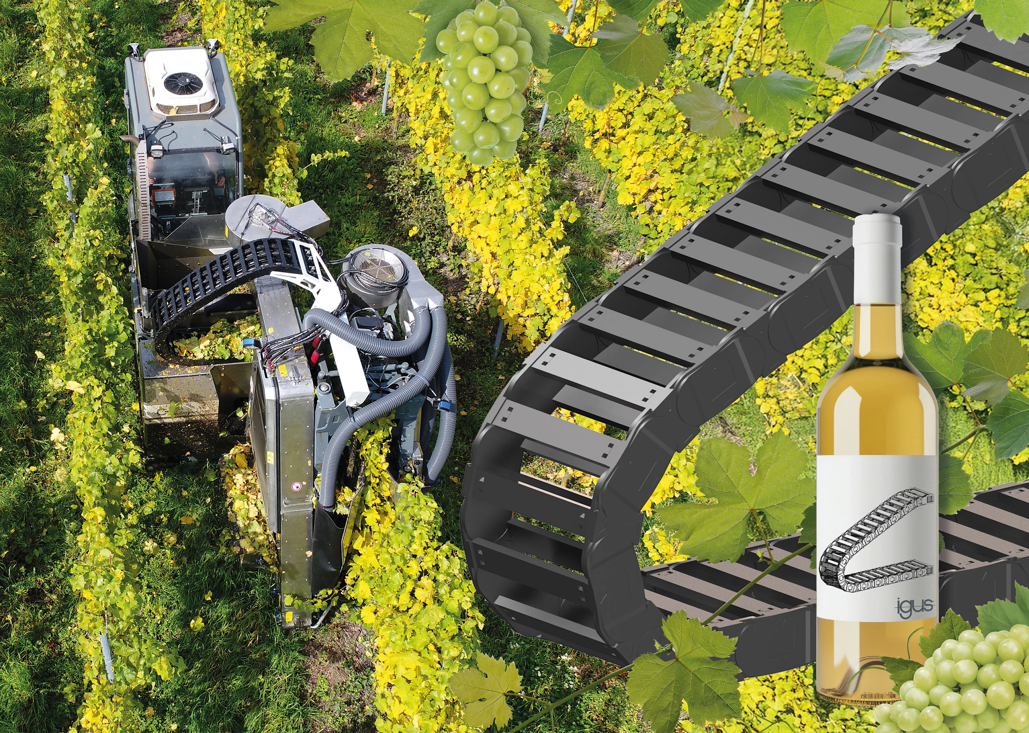 Robots take care of harvesting grapes - Press international