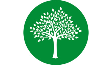 Projetos de plantio de árvores e sustentabilidade na igus®