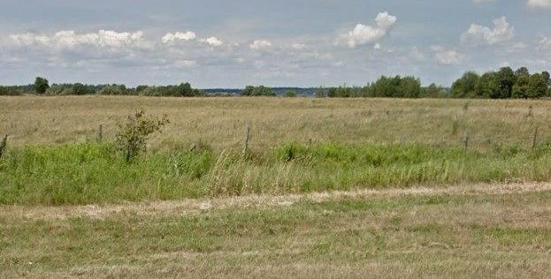 Baumpflanzprojekte und Nachhaltigkeit bei igus